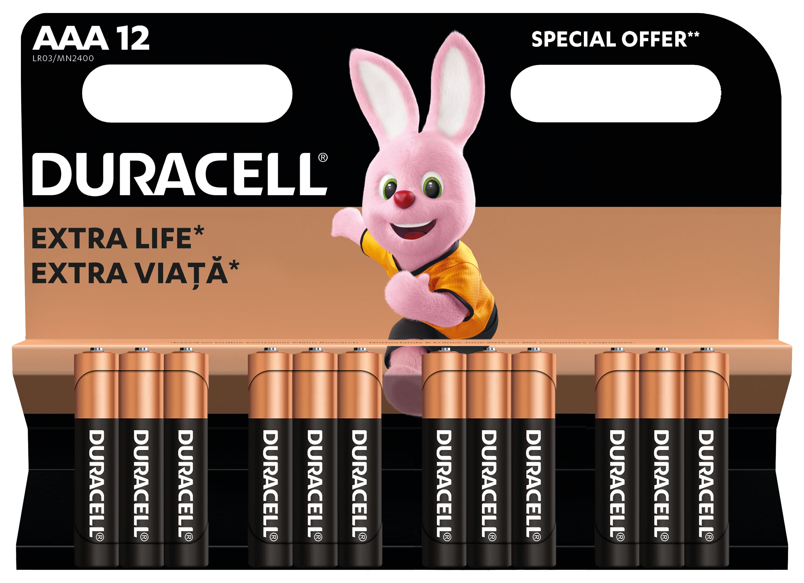 DURACELL Baterie alkaliczne Basic upgr AAA/LR3 12 szt.